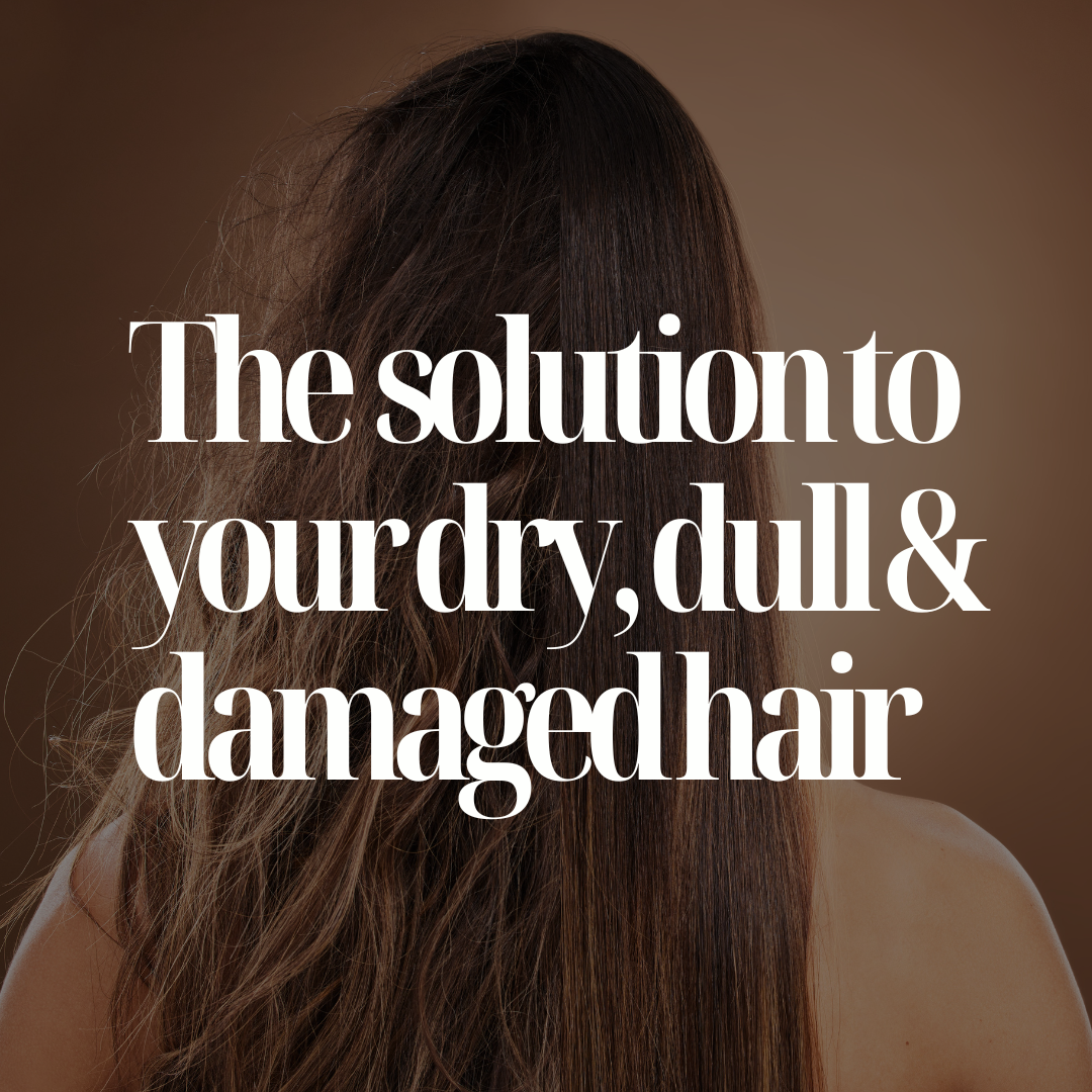 The solution to your dry, dull & damaged hair – ByErim
